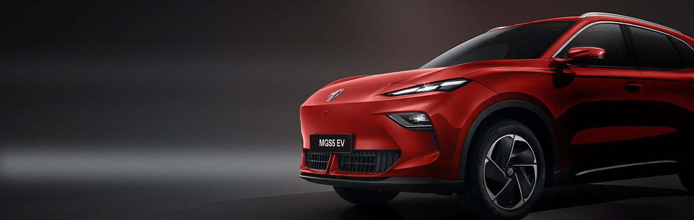 MGS5 EV